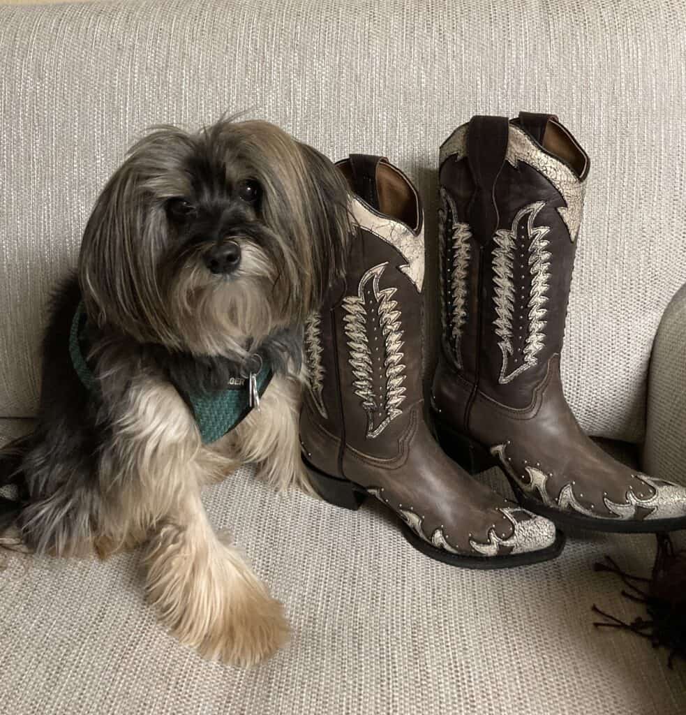 New Cowboy Boots: A Conversation - Ellen Morris Prewitt