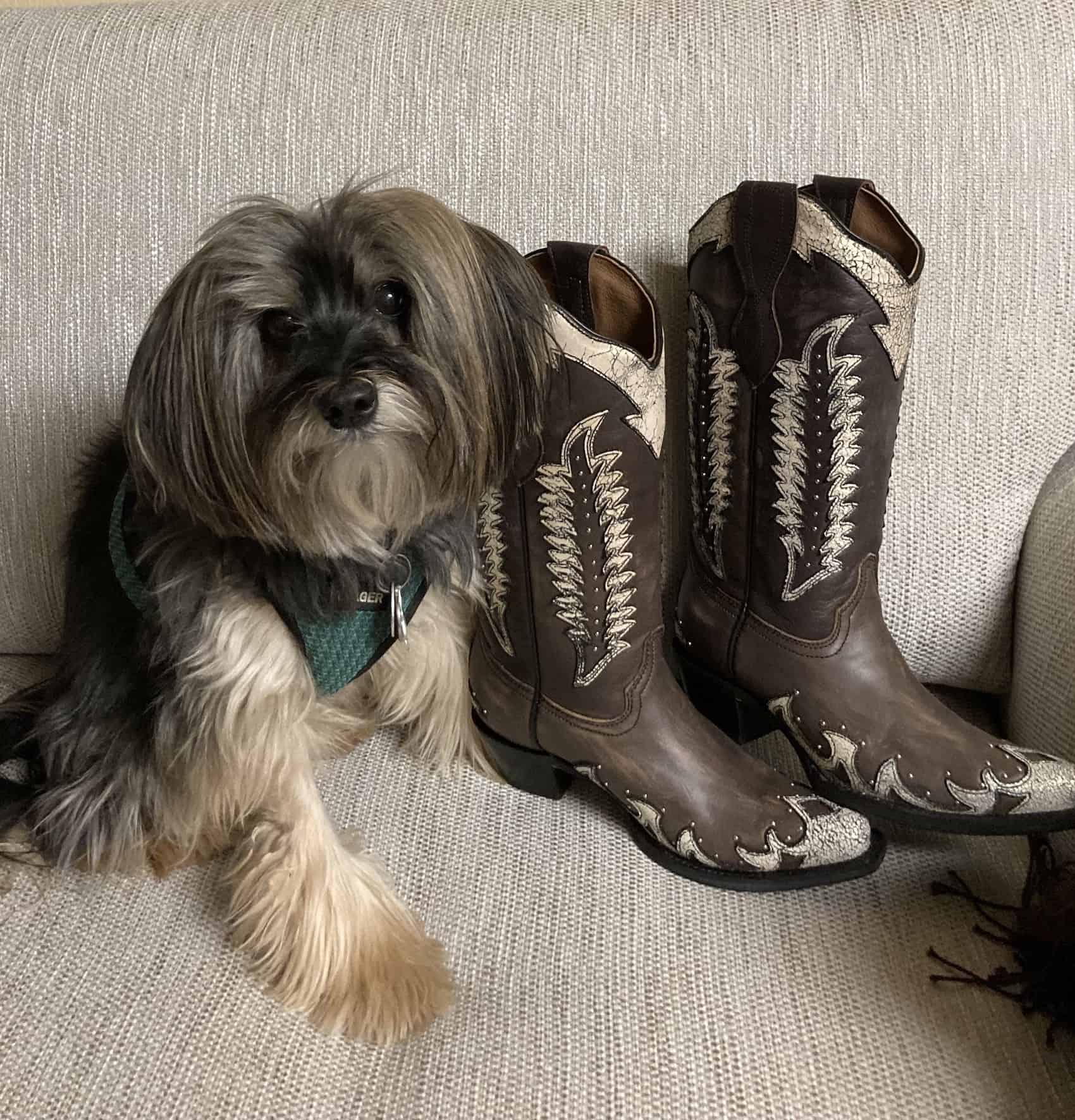 New Cowboy Boots: A Conversation - Ellen Morris Prewitt